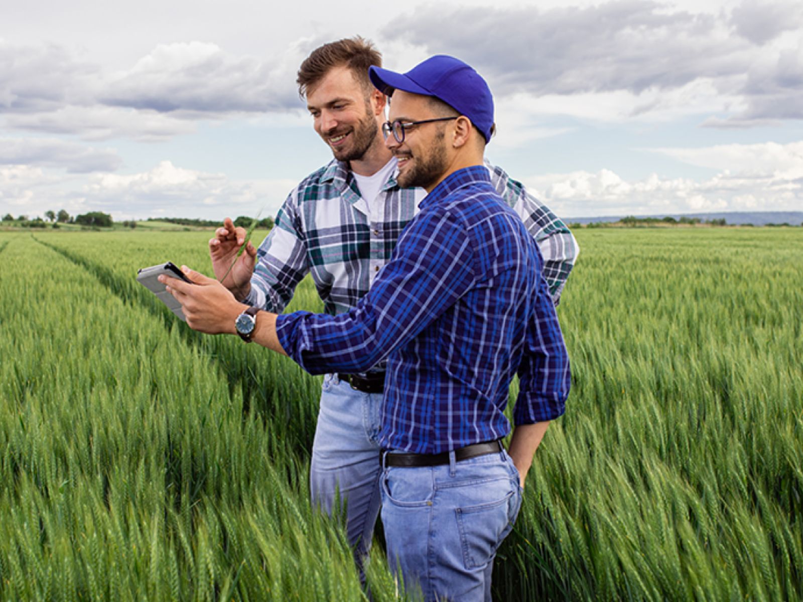 Consulting Management - iCrop.com