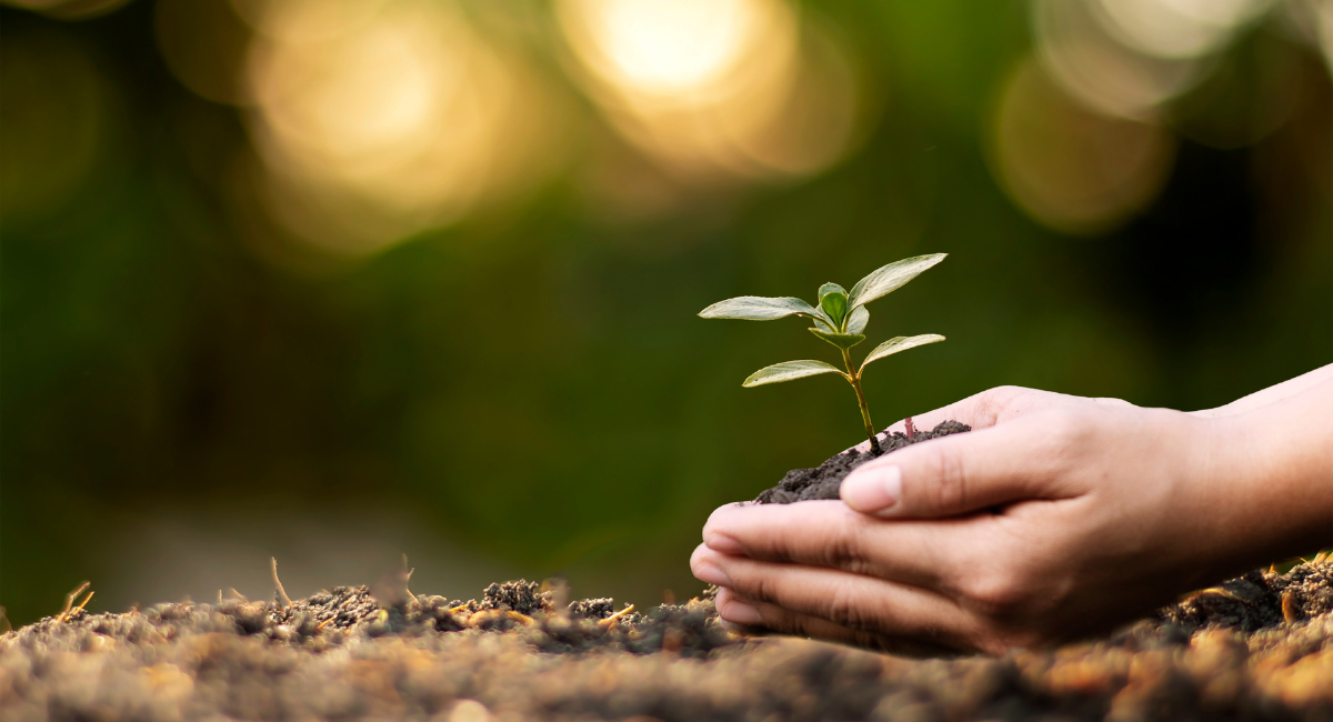 References - iCrop.com